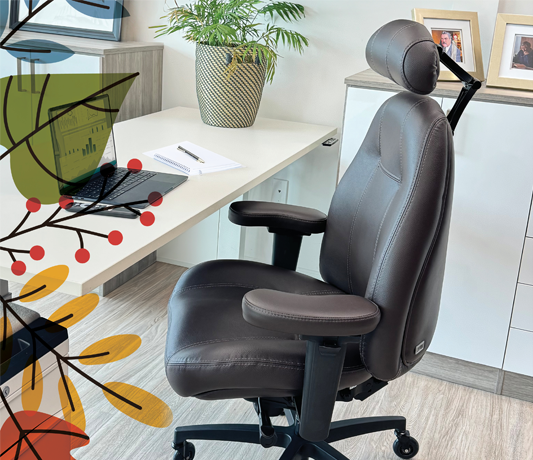 Shop LIFEFORM® ergonomic office chair.