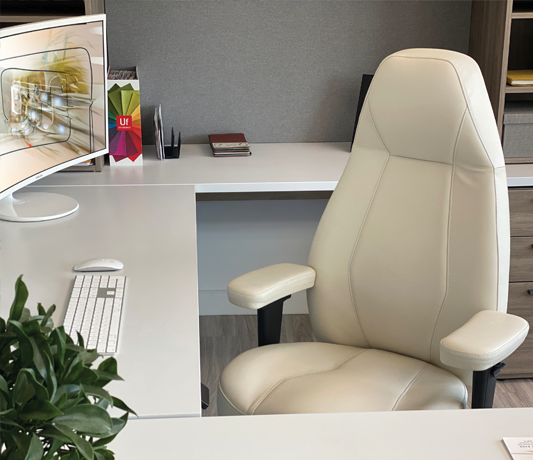 Shop LIFEFORM® ergonomic office chair.