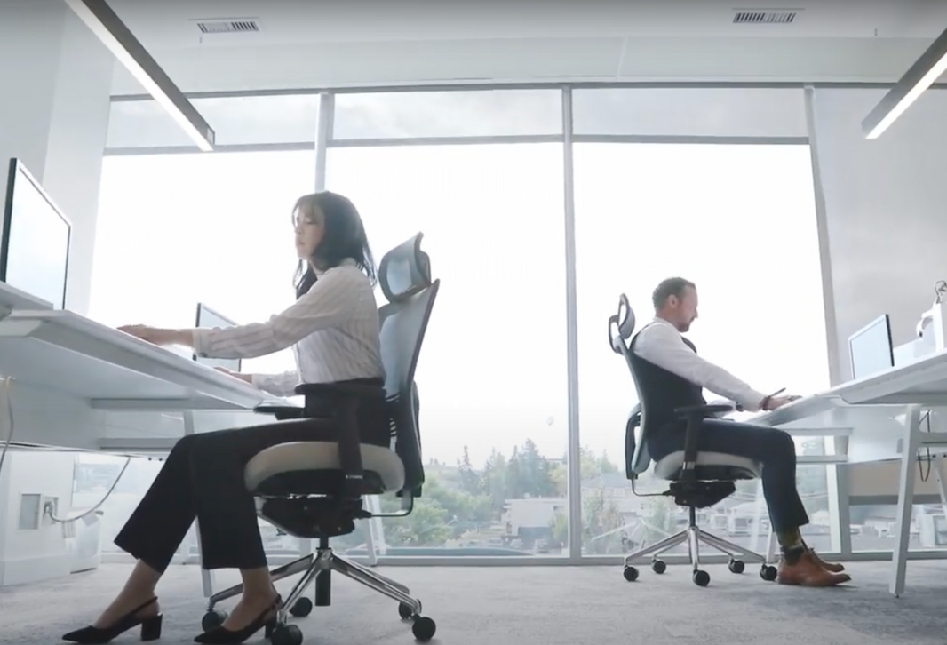 Shop LIFEFORM® ergonomic office chair.